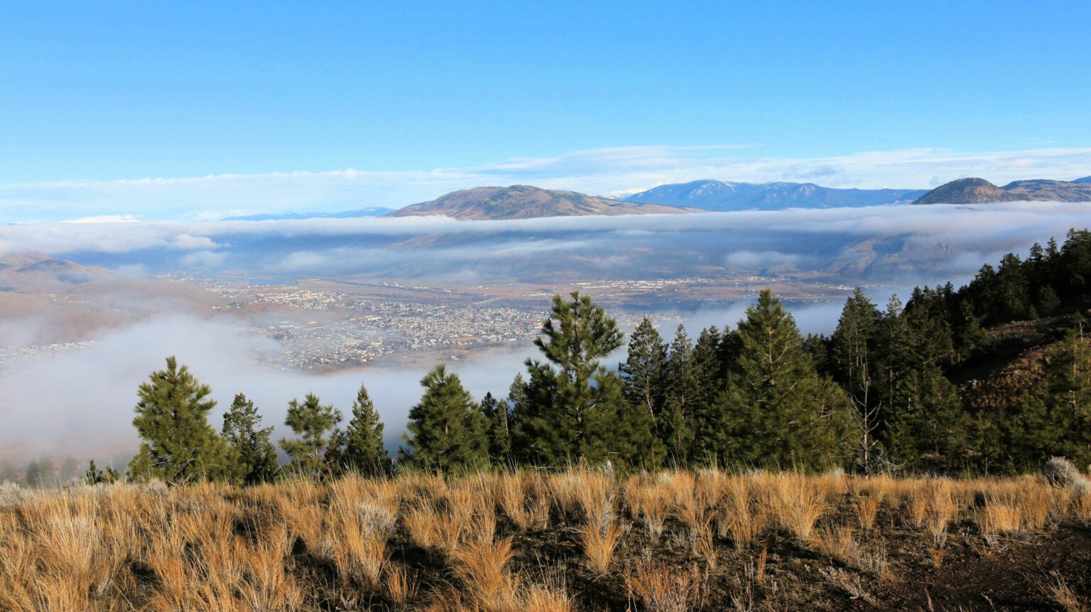 Kenna Cartwright Nature Park - A Study of the Value of Kamloops Parks